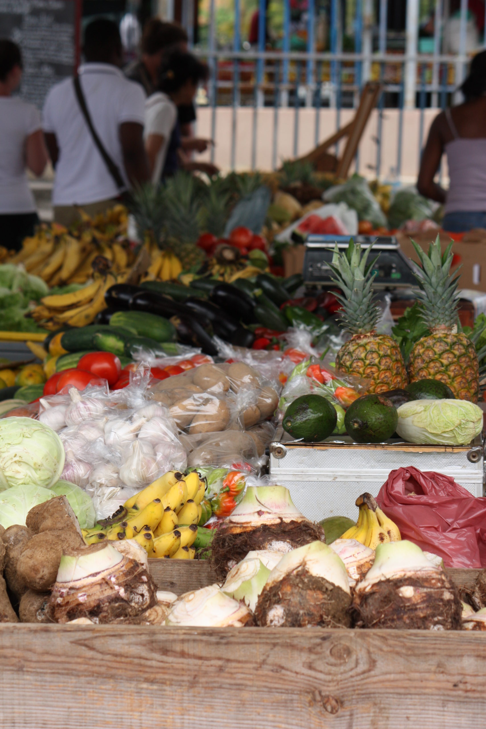 martinique lieux à visiter Mars