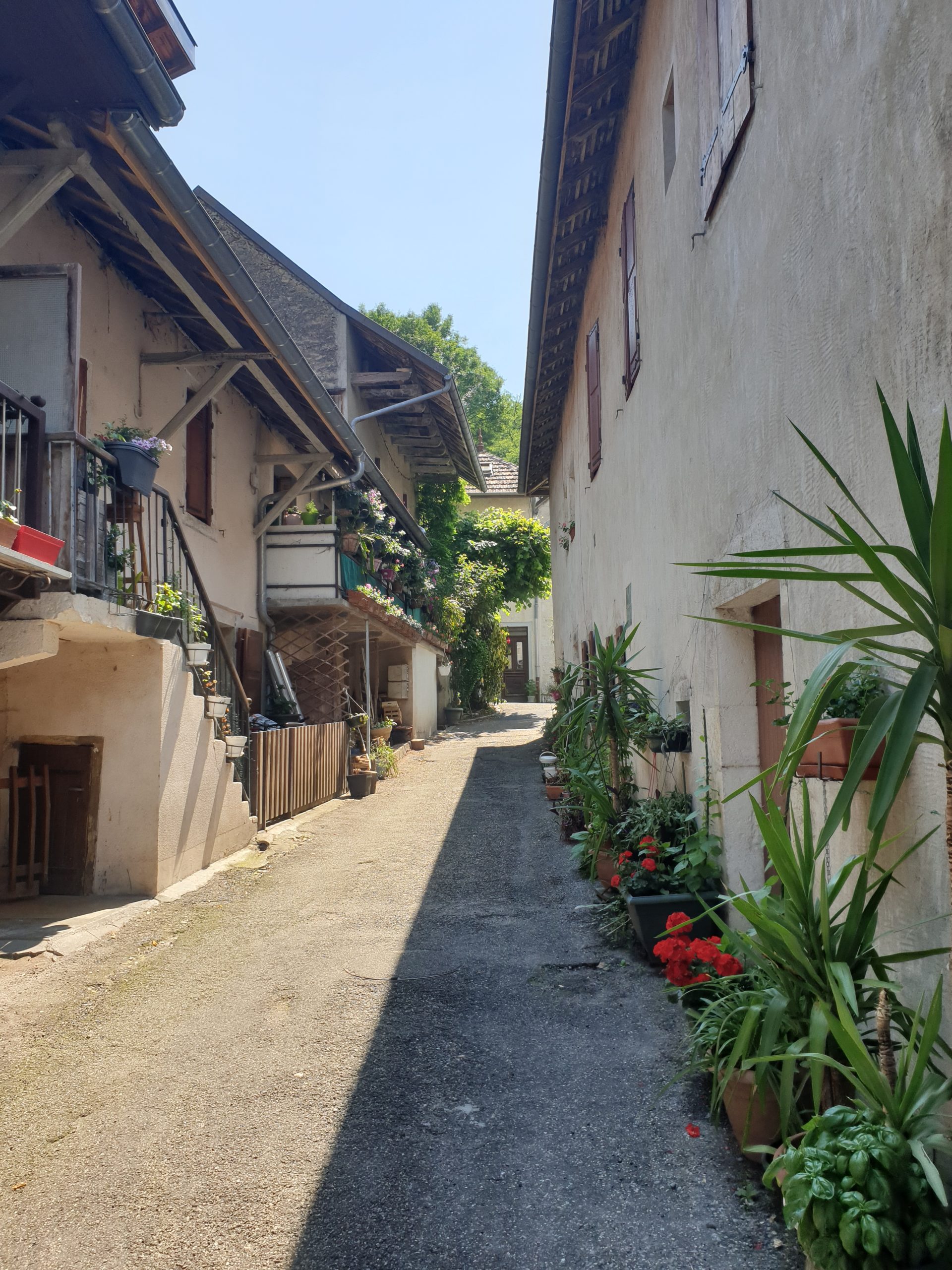 Chanaz village Savoie promenade bateau canal saviere
